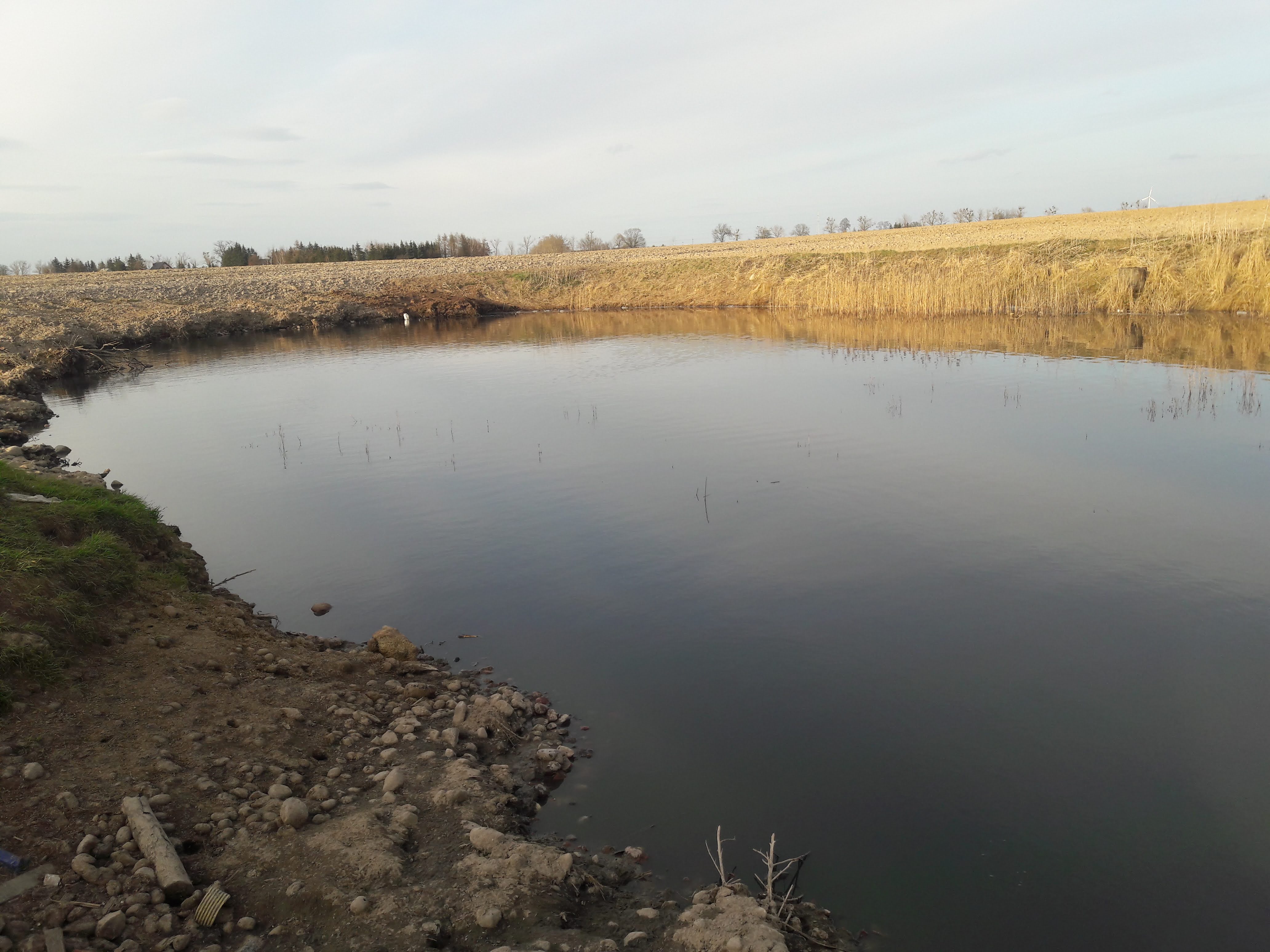 Pond management – Temporary Ponds